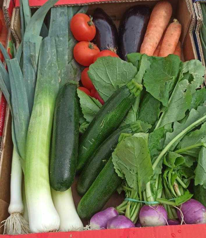 Panier de Légumes - Normand E-Boutique • Achetez la Normandie